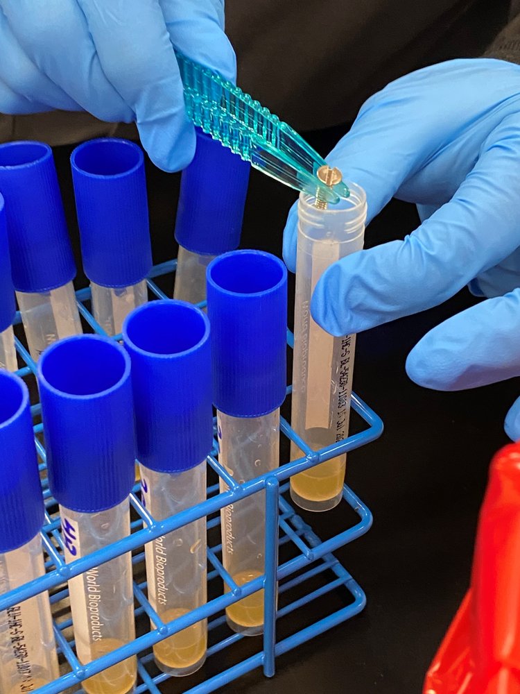 Research – Flush Fasteners