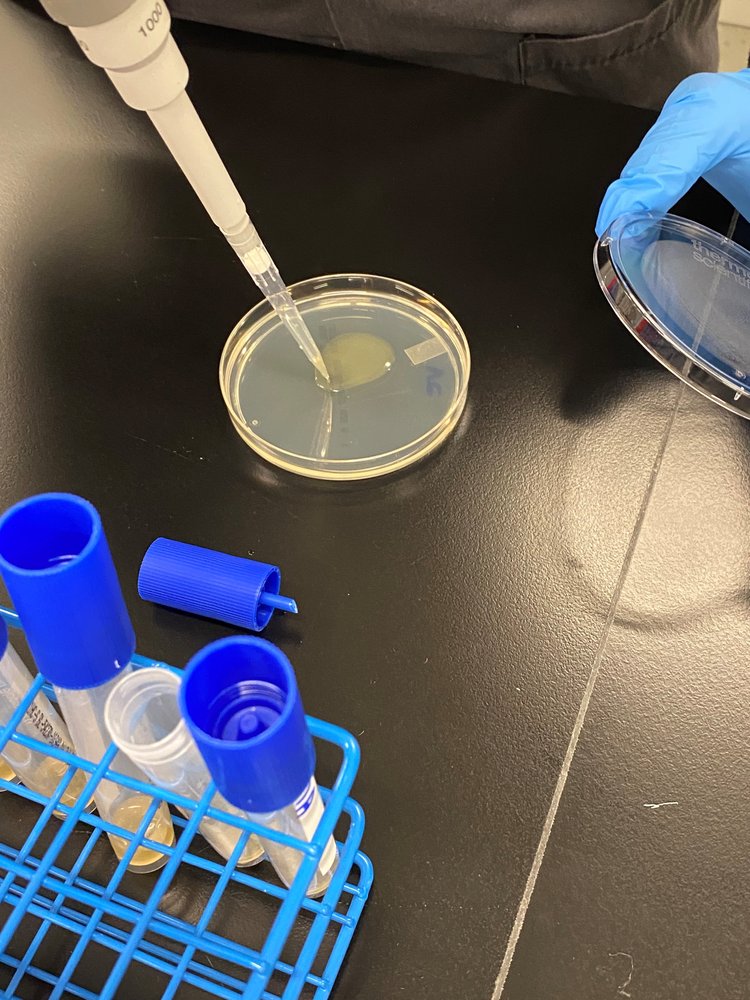 Research – Flush Fasteners